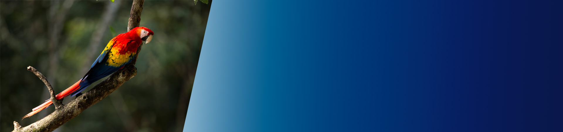 TPV Cares - TPV Cares