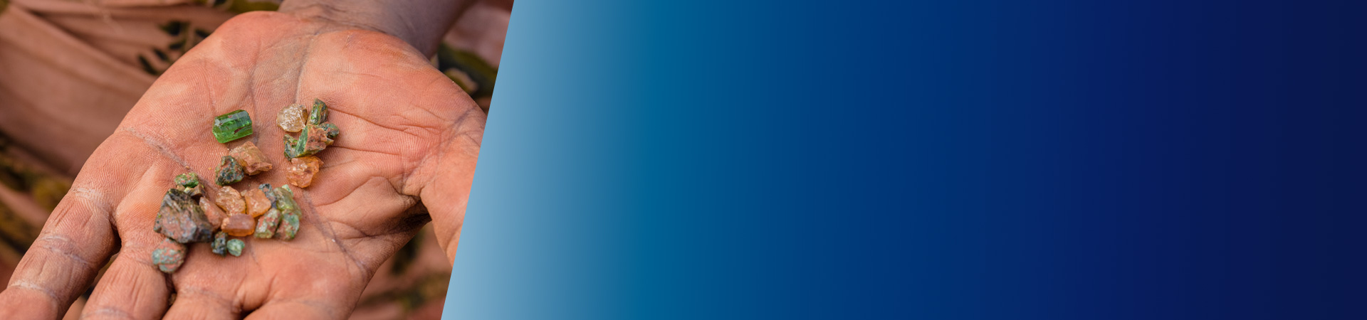 TPV Cares - TPV Cares